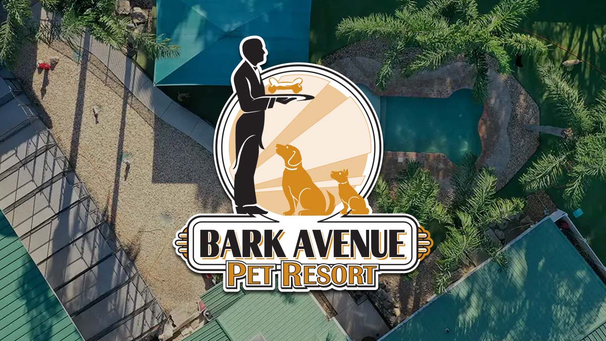 Boarding - Bark Avenue